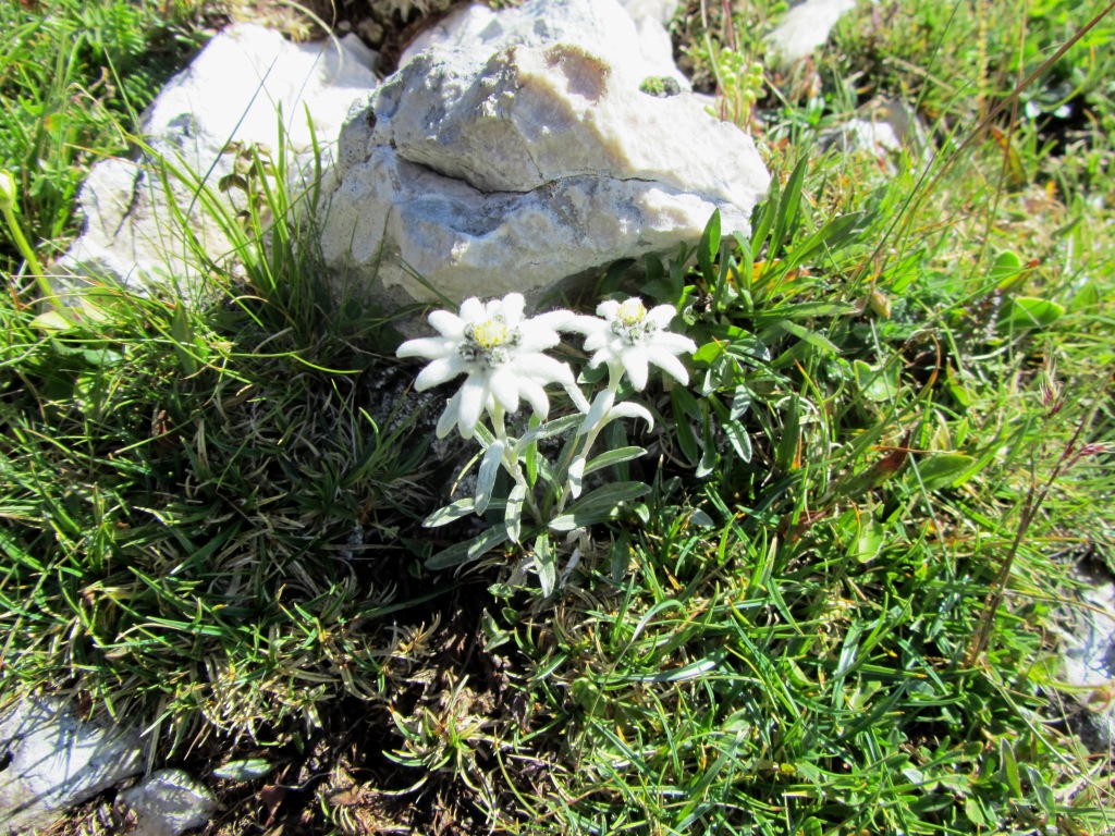 Viševnik, Mali Draški vrh, Veliki Draški vrh, Ablanca in Tosc – Bojan ...