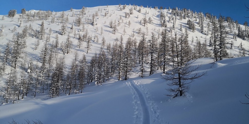 Debeli vrh, Veliki Selišnik – Bojan Ambrožič