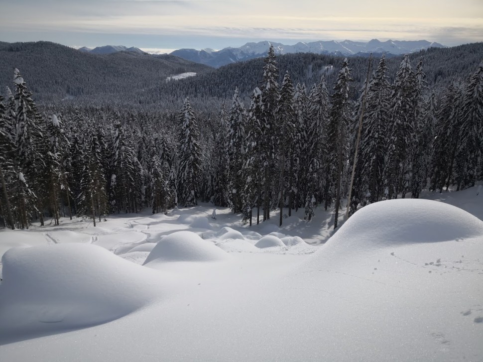 Debeli vrh, Veliki Selišnik – Bojan Ambrožič