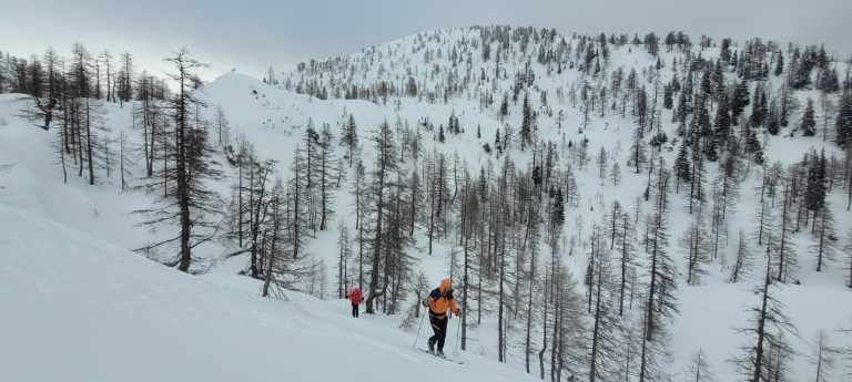 Debeli vrh in planina Zajavornik – Bojan Ambrožič